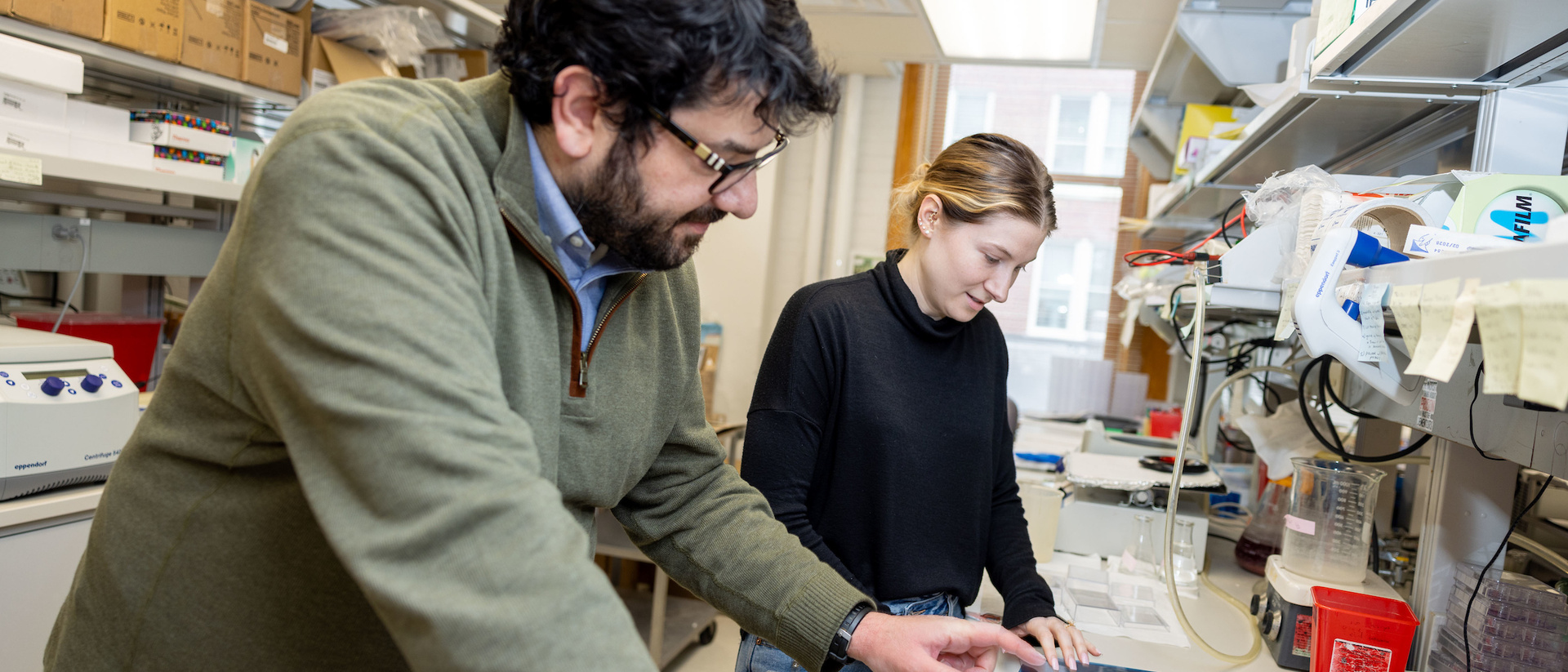 Research | Department of Pathology - Carver College of Medicine | The ...