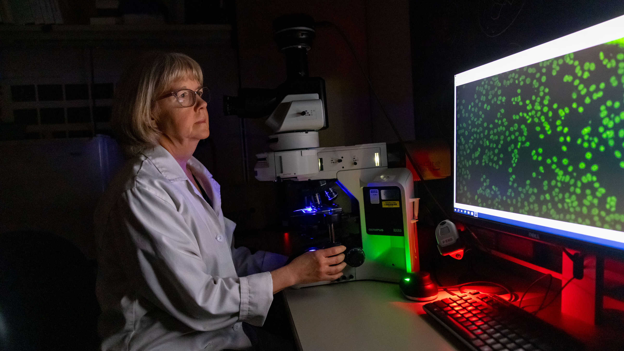 Anatomic Pathology | Department of Pathology - Carver College of ...